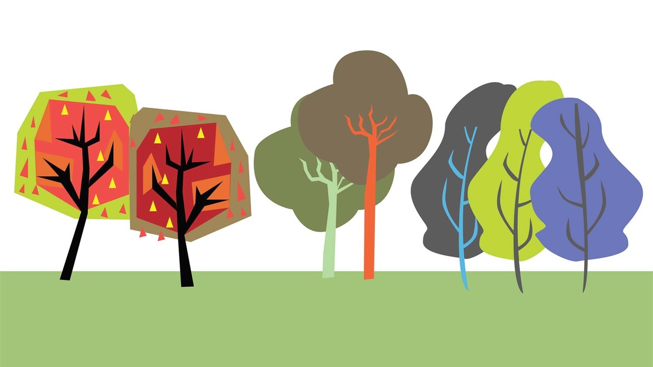 Trees - Remote Learning Resources